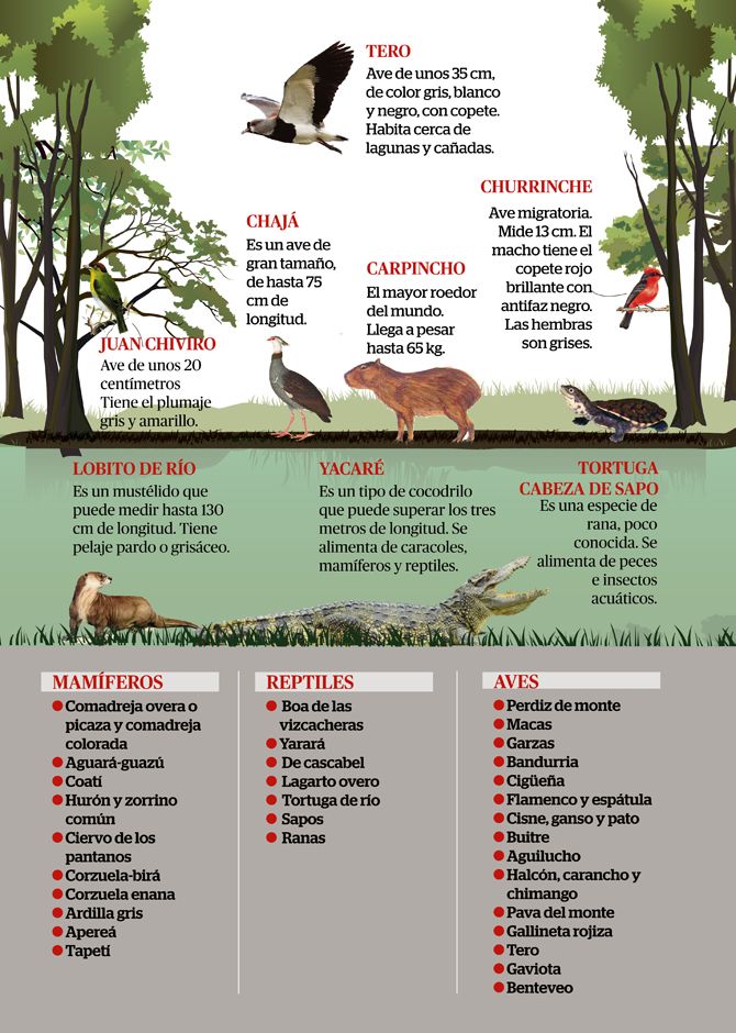 Humedales: algunos datos para conocerlos y entender su valor