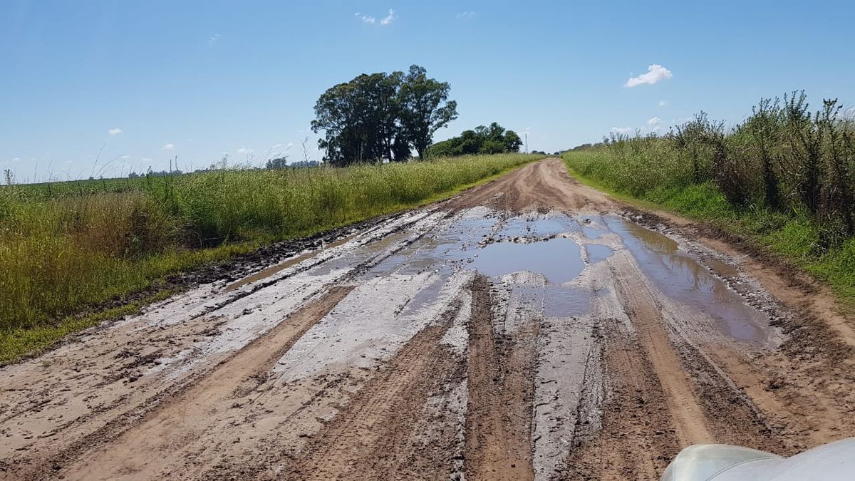 Los caminos rurales buscan meterse en los planes de estudio universitarios