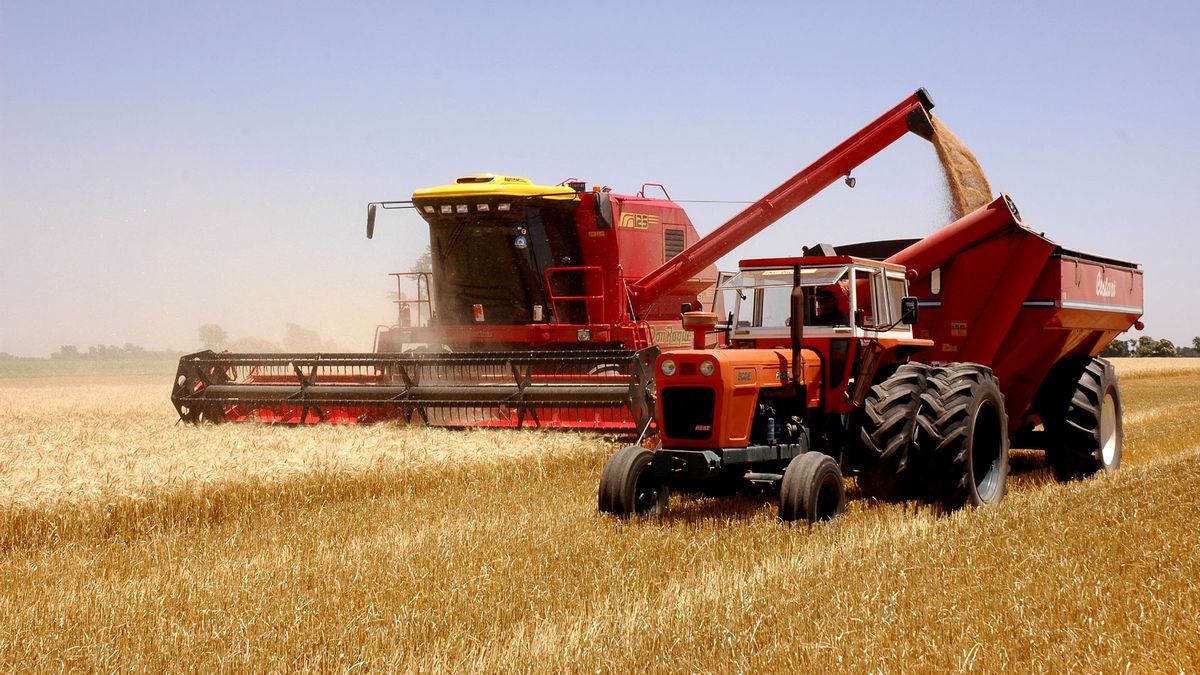 La menor cosecha en los últimos cinco ciclos: 109 millones de toneladas