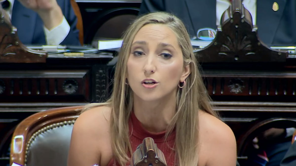 Julia Strada ratificó el rechazo de UxP a la ley ómnibus: Está plagada de irregularidades