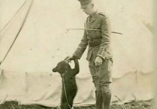 La verdadera historia de la osa que inspiró Winnie the Pooh