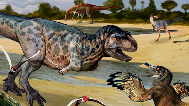 Descubren una nueva especie de dinosaurio en Neuquén