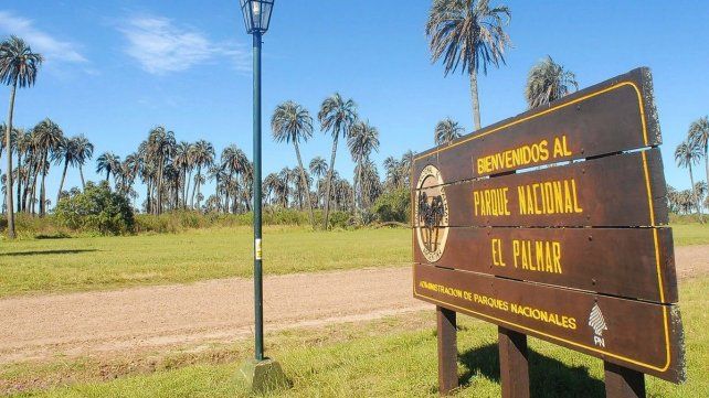 Parque Nacional El Palmar invita a observar aves