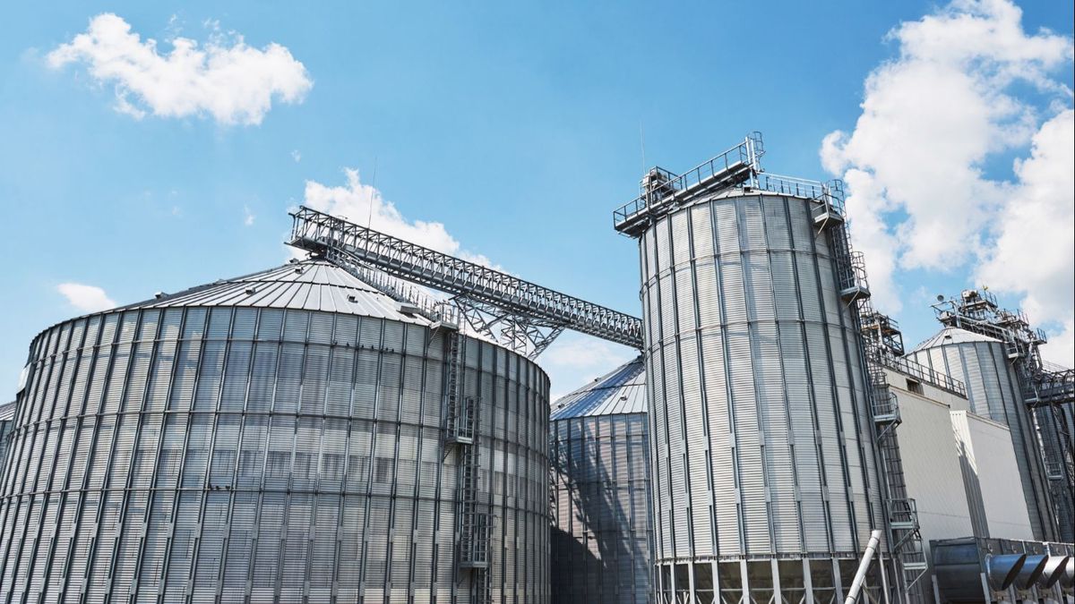 El arte de cuidar y conocer el grano desde sus orígenes