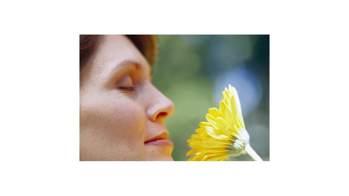 ¿Cuáles son los 10 olores básicos que reconoce el olfato?