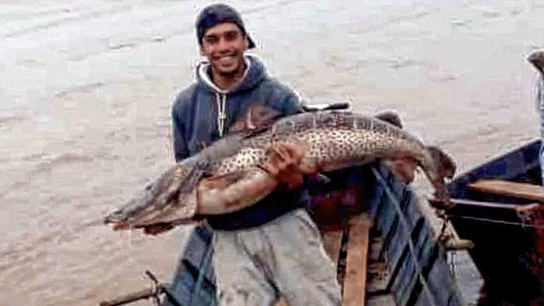 surubí. Últimas noticias de surubí - Uno Entre Rios | Noticias ...