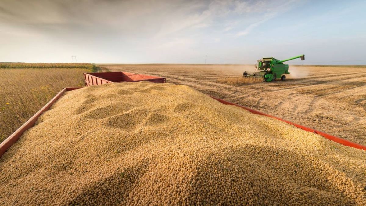 La comercialización de soja se acelera de cara al 30-J