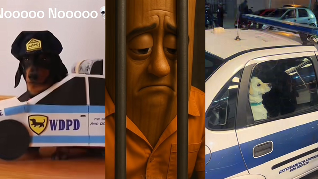 Noo, la polizia nooo: la historia detrás del audio viral que circula en redes sociales