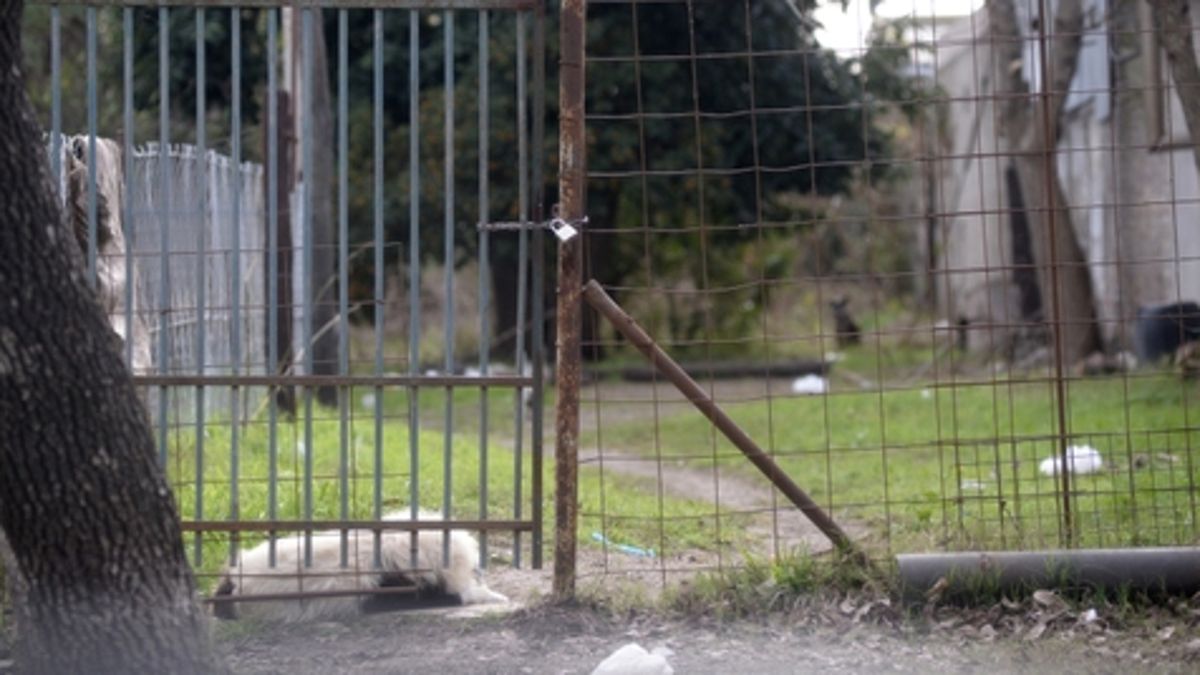 El final de una reunión terminó con un disparo y un muchacho muerto