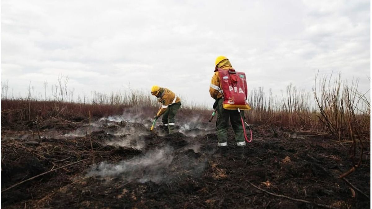 SNMF: Entre Ríos con incendios en Gualeguaychú y Federación