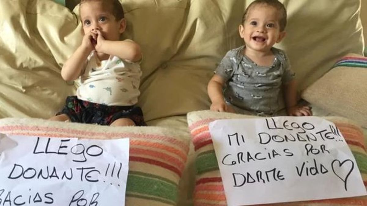 Gemelos recibirán en un procedimiento inédito un trasplante de médula ...