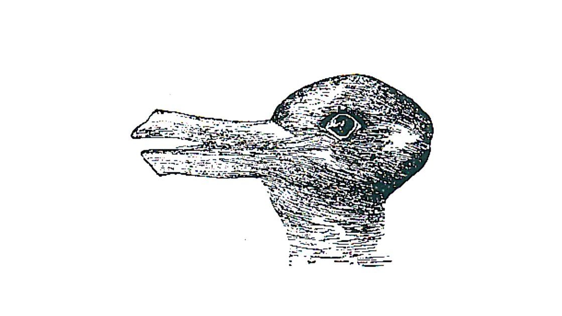 Pato o conejo, una imagen con más de cien años que ahora se volvió viral