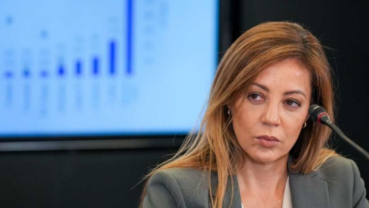 Flavia Royón: Pensamos un sistema de tarifas más justas para seguir ...