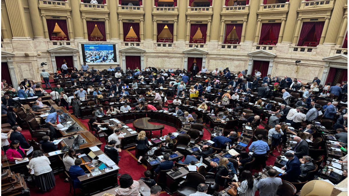 La Ley Bases Y El Paquete Fiscal Obtuvieron Dictamen Y Se Tratarán La