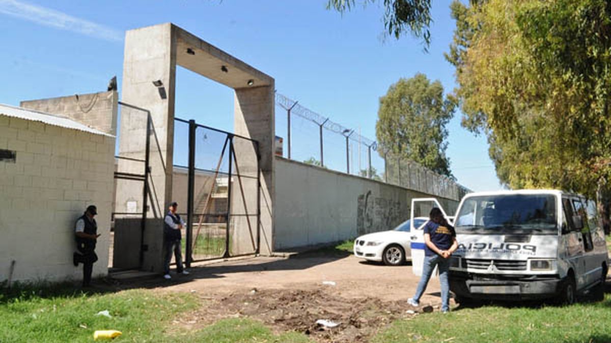 Toniolli pidió a la provincia cambiar radicalmente las condiciones ...