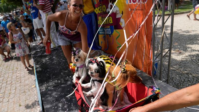 Los perros disfrazados son la gran sensación del Carnaval de Río de Janeiro