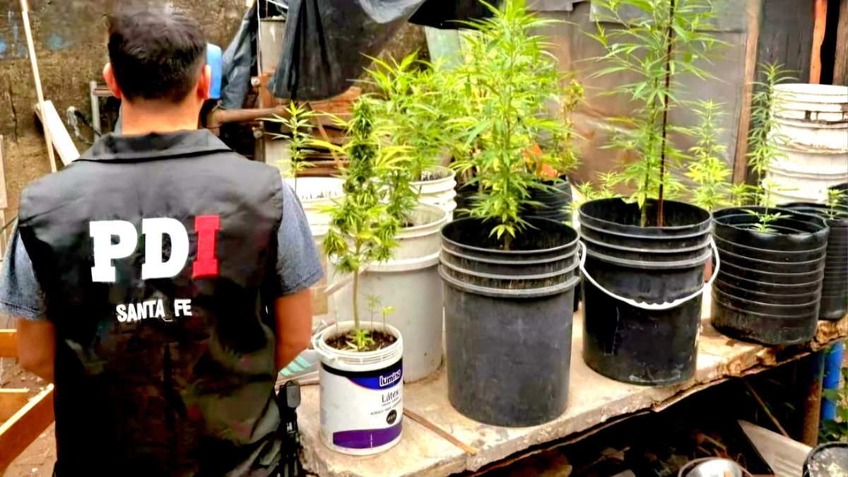 Aprehendieron a un adolescente de 16 años por dos robos y hallaron 32 ...