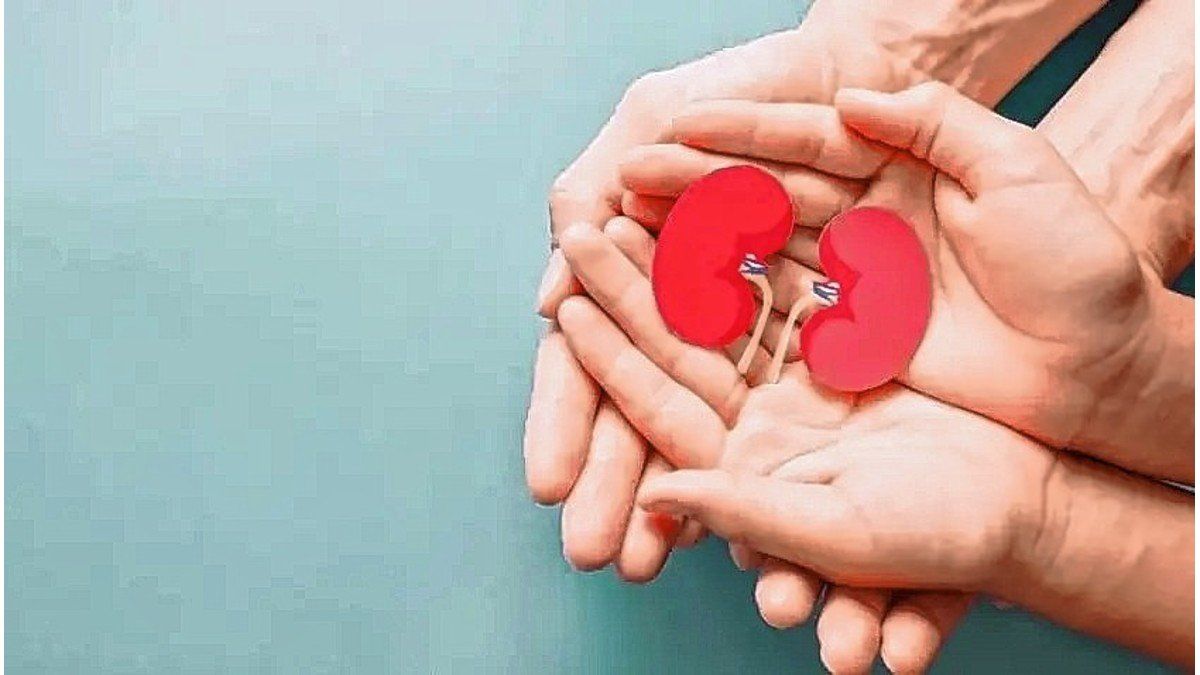 Hoy es el Día Mundial del Riñón: ¿por qué?