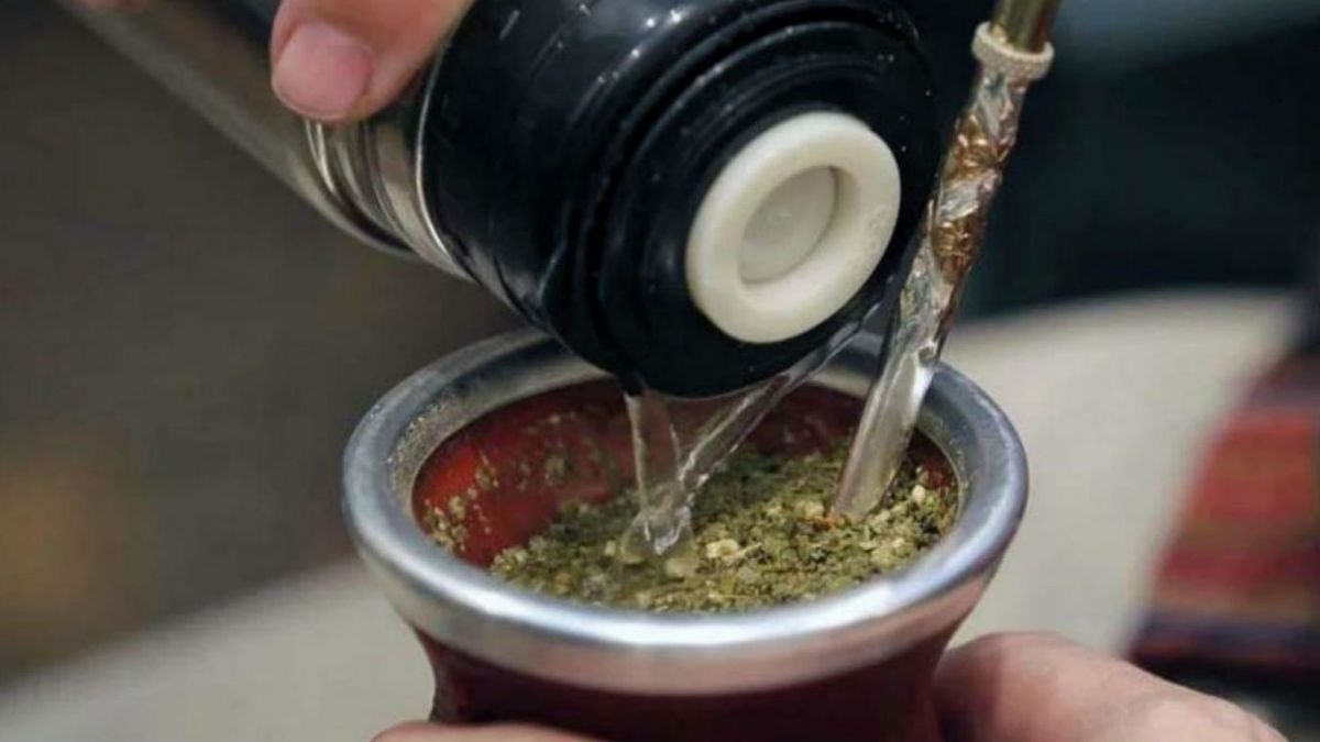 Lo comprobó la ciencia: tomar mate causa una sensación de placer y ...