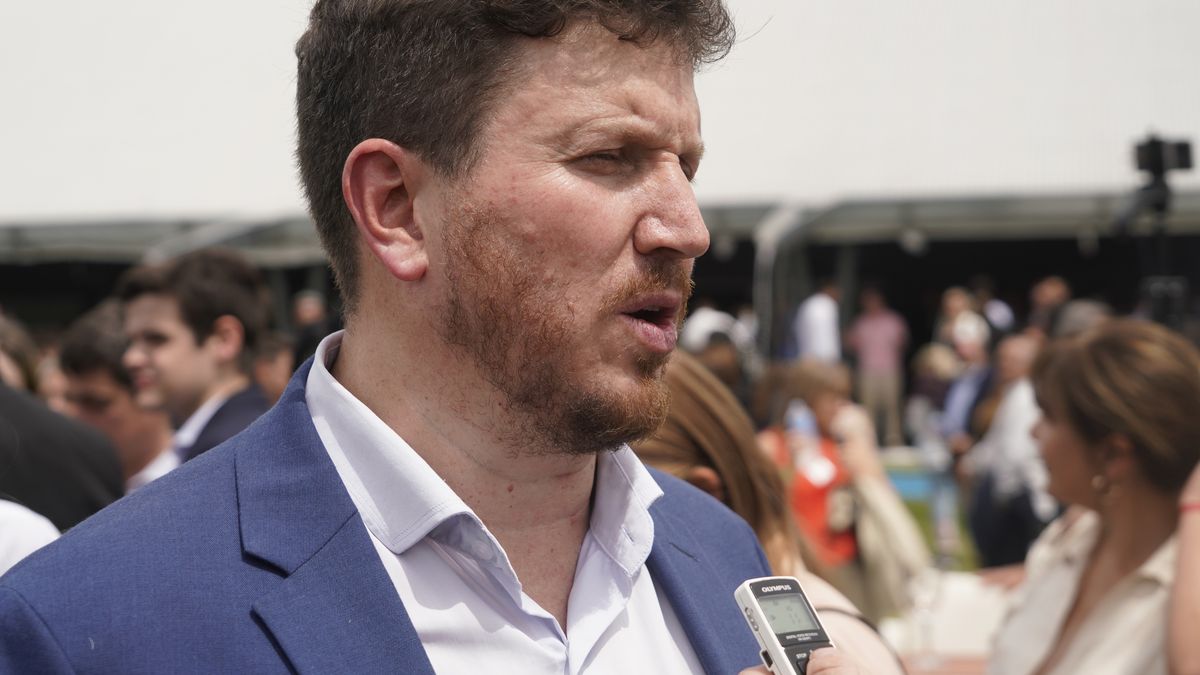 Angelini: En algunas cosas vamos apoyar a Milei y en otras le pondremos ...