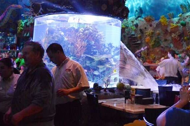 Se rompió la pecera gigante de un restaurant de Disney