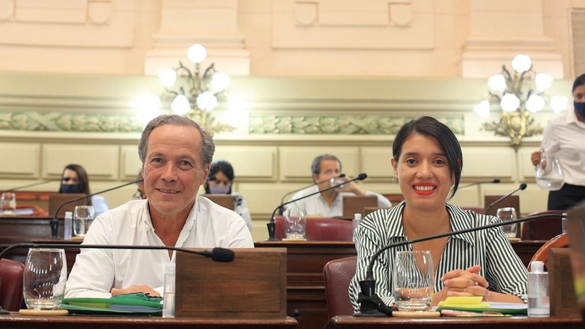 Giustiniani y Donnet insisten con la ley de humedales