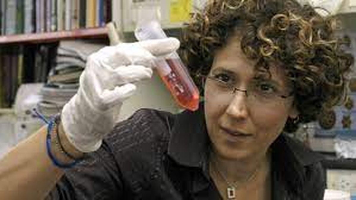 Covid: The Lacent publicó un estudio argentino que confirma la alta ...