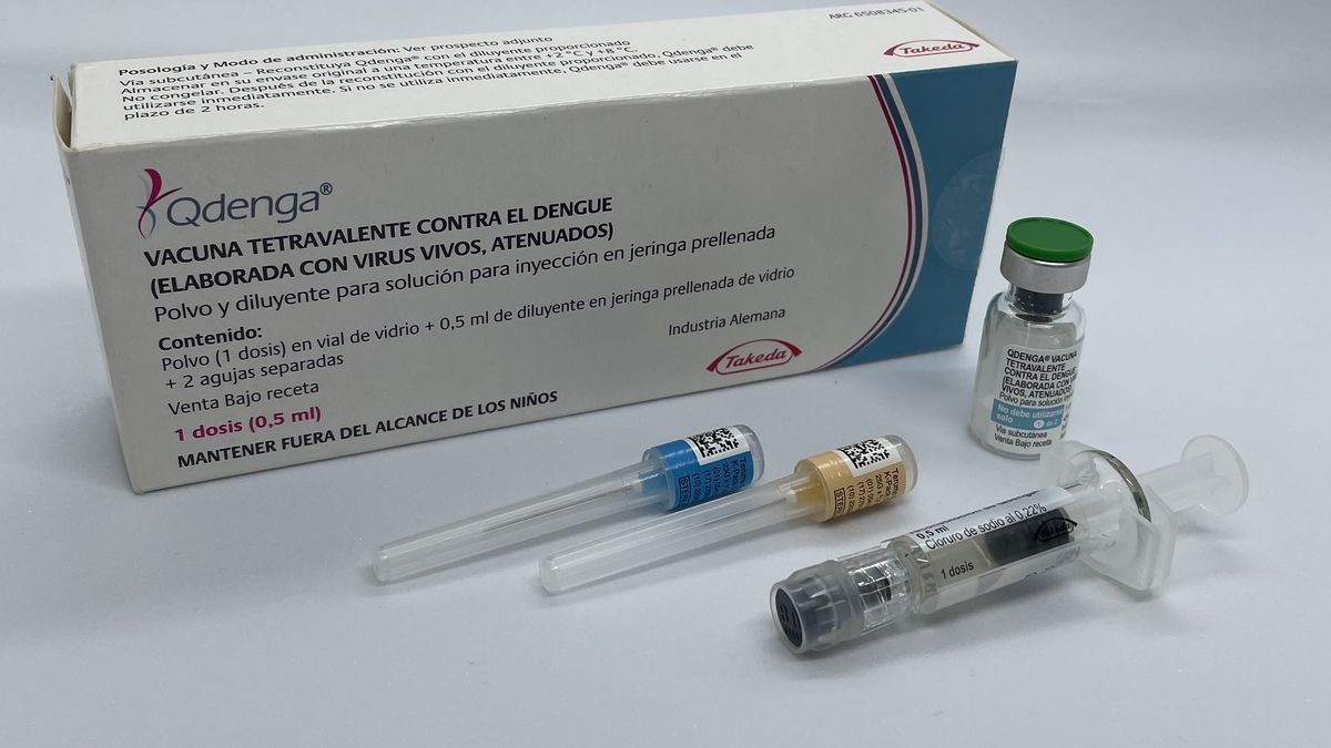 Dengue: todo lo que hay que saber sobre la vacuna Qdenga