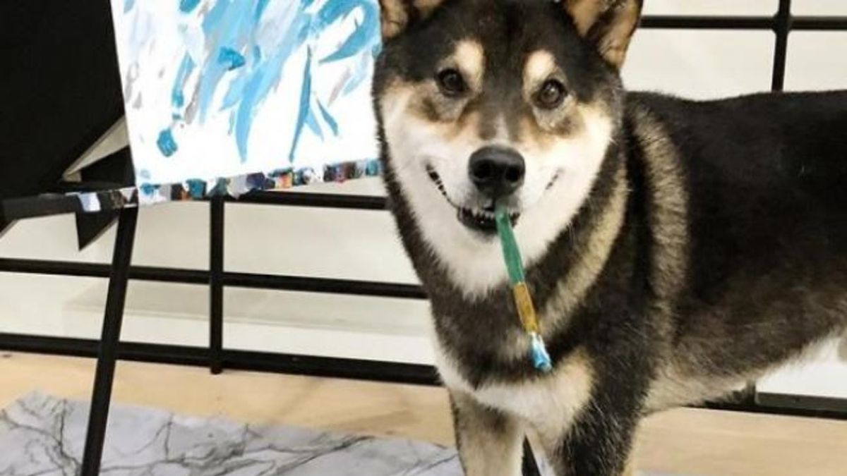 Hunter, el perro pintor que ya ganó 15 mil euros con sus cuadros