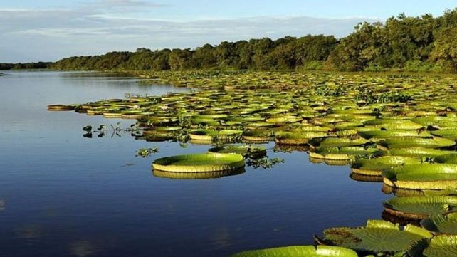 Ríos, pesca y diversión