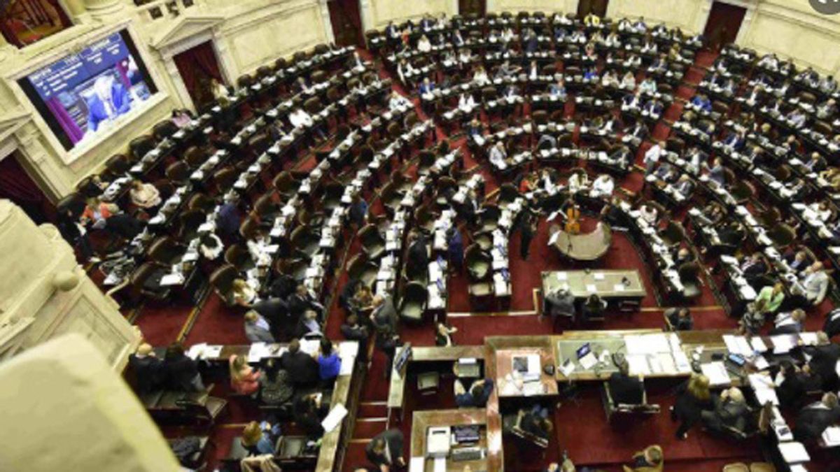 En Vivo El Oficialismo En Diputados Busca Emitir Dictamen Sobre 7037