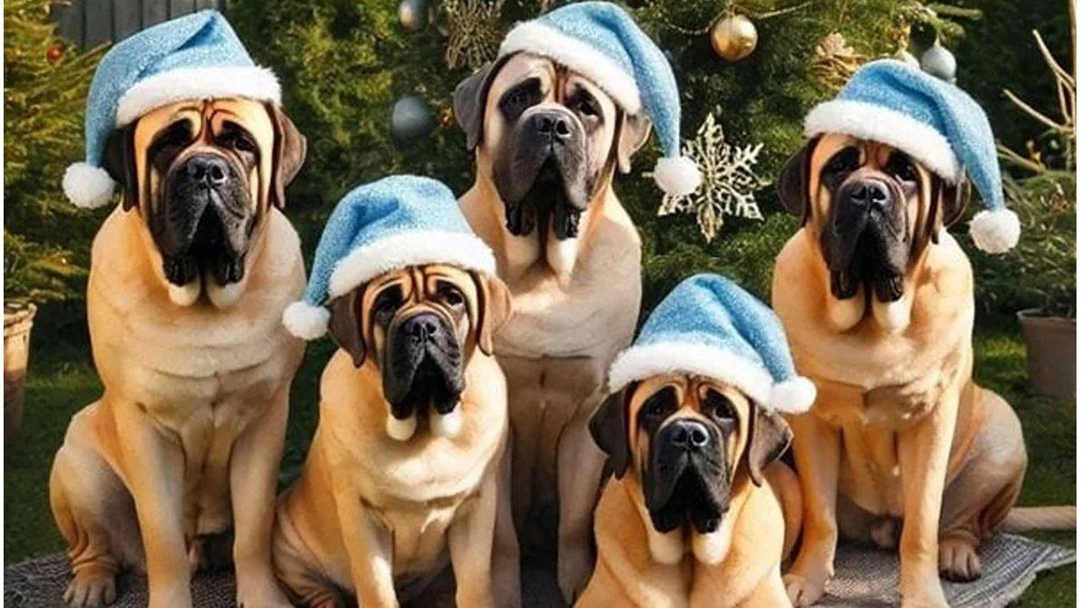 Javier Milei: saludó con imagen de sus perros generada con inteligencia ...