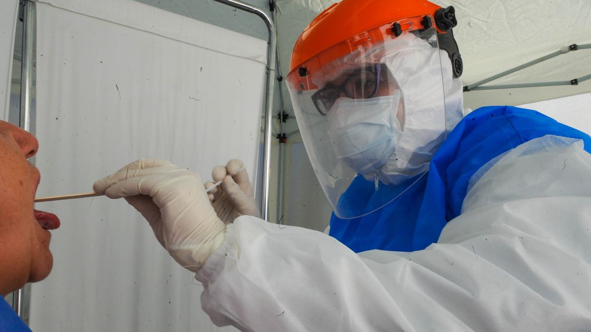 Quiénes deben realizarse el hisopado de detección de coronavirus
