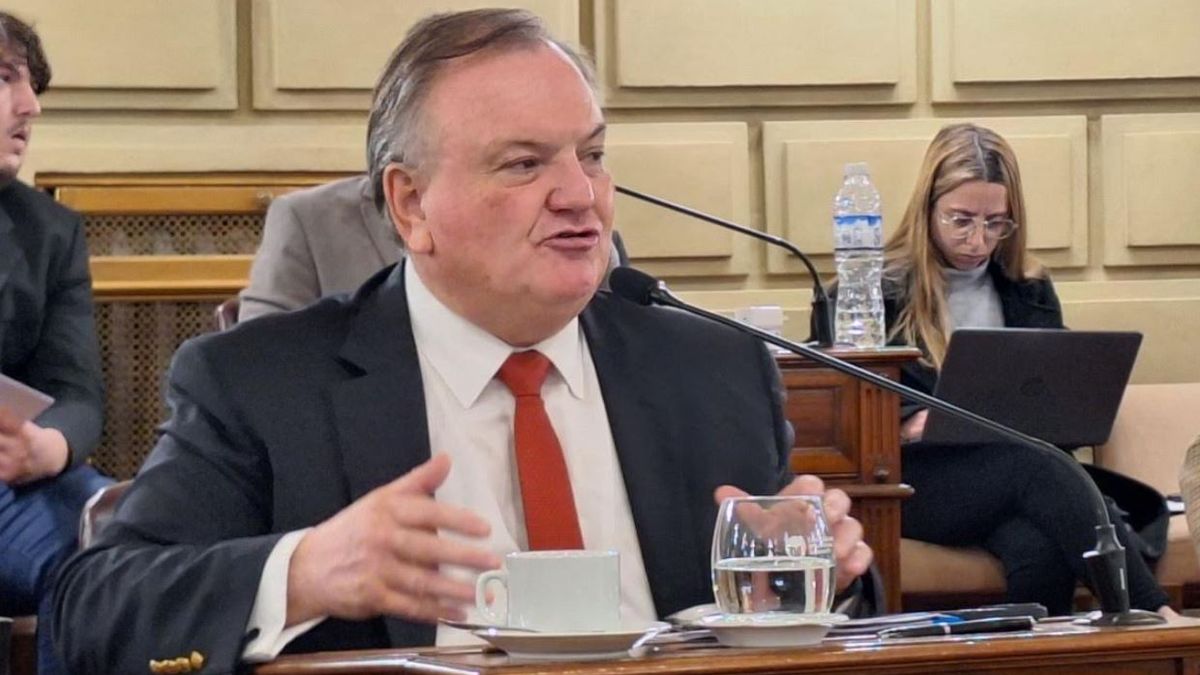 El senador Michlig sobre la protesta por la reforma previsional: Están ...