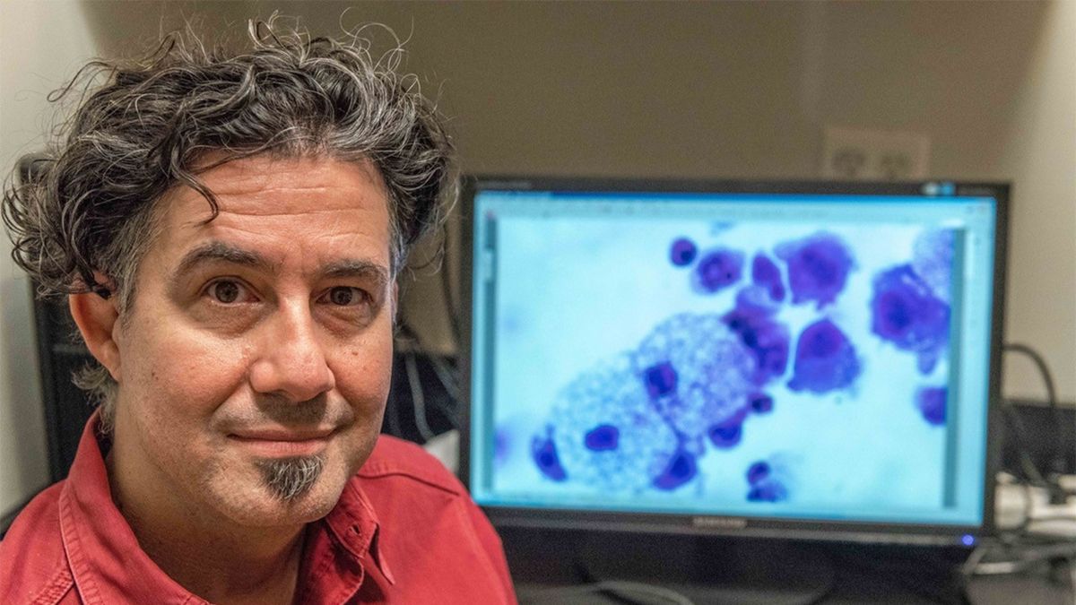 Uno de los fundadores de Moderna dijo que el coronavirus salió de un ...