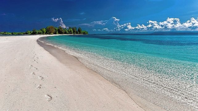 Tower Travel brinda recuerdos memorables