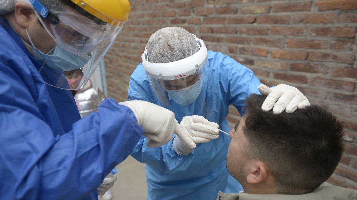 Diagnóstico sin hisopado: cómo es y qué alcance tiene esta medida en ...
