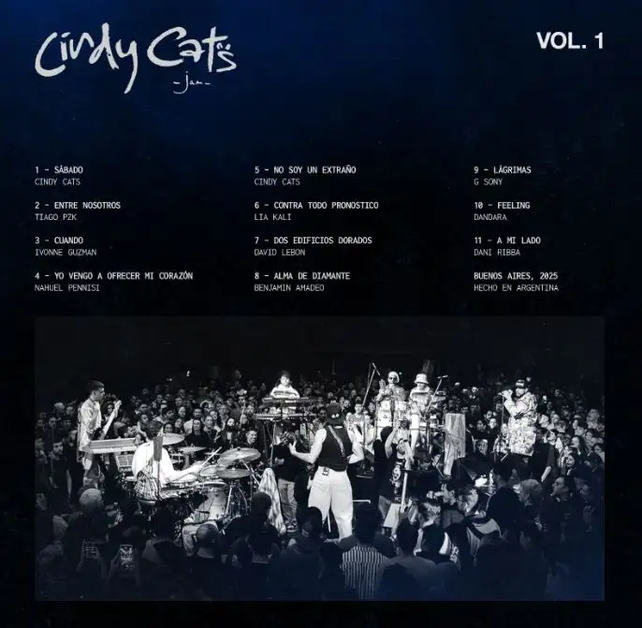 Quiénes son los Cindy Cats, la banda argentina que convocó a Rosalía ...