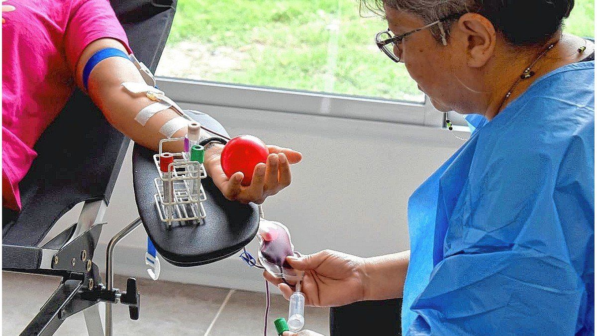 Día Mundial de la Donación de Sangre: en Santa Fe habrá colectas en el ...