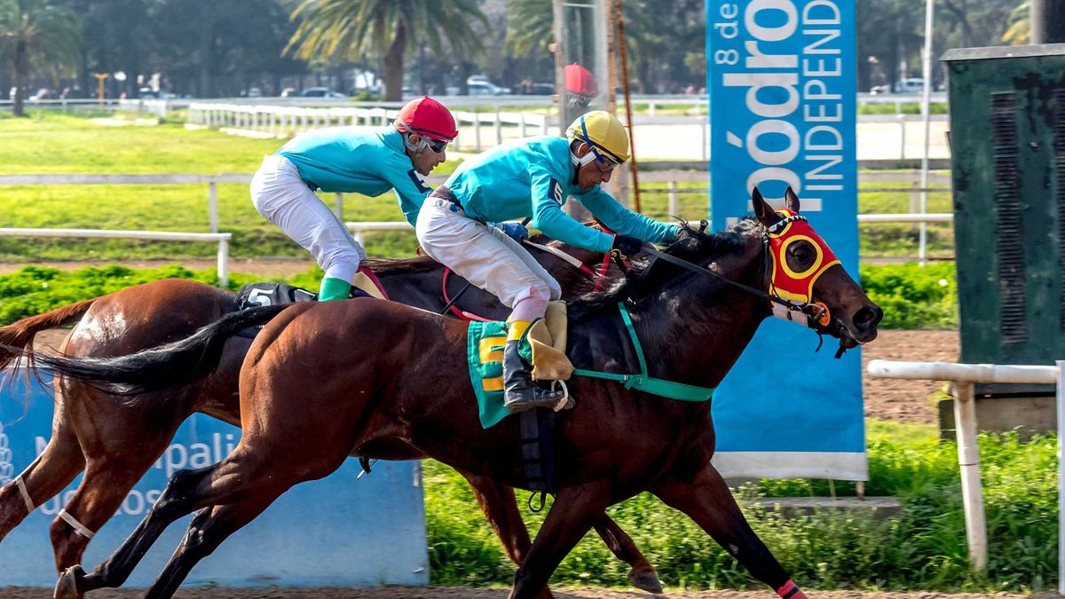 El hipódromo de Rosario vivirá un evento único: la Carrera del Millón