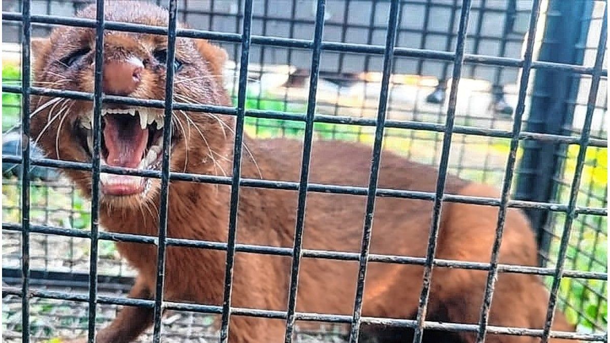 Livvalittle bryce adams definitely worthwhile if you’re