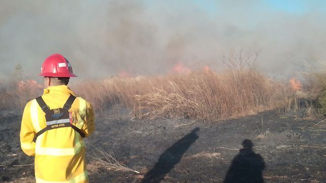 Incendios en Entre Ríos: reportaron nuevos focos en Victoria