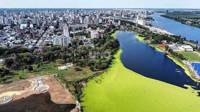 Sigue proliferando la vegetación en el lago del Parque del Sur y ...