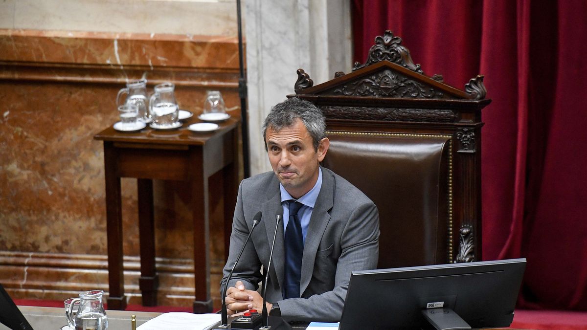 Martín Menem afirmó que hay consenso para aprobar el proyecto de la ley ...