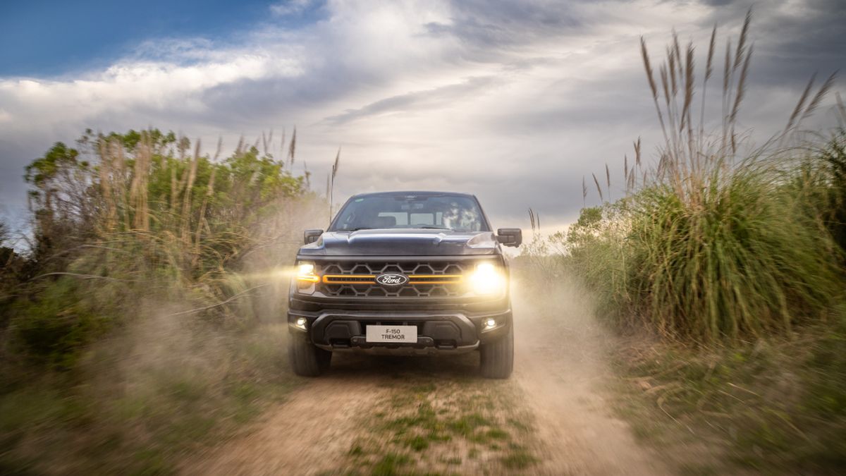 Ford y una gran renovación como eficaz consolidación