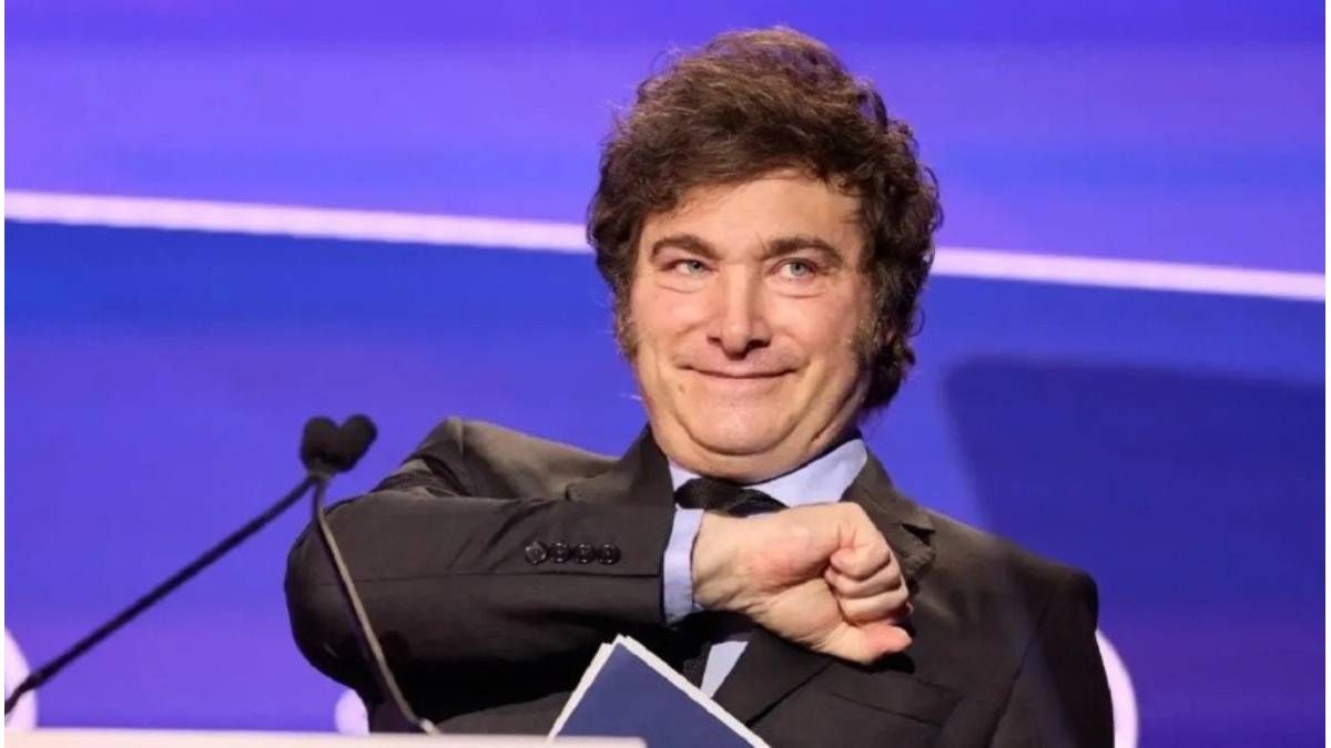 La alegría de Milei por la goleada a Brasil: No recuerdo semejante ...