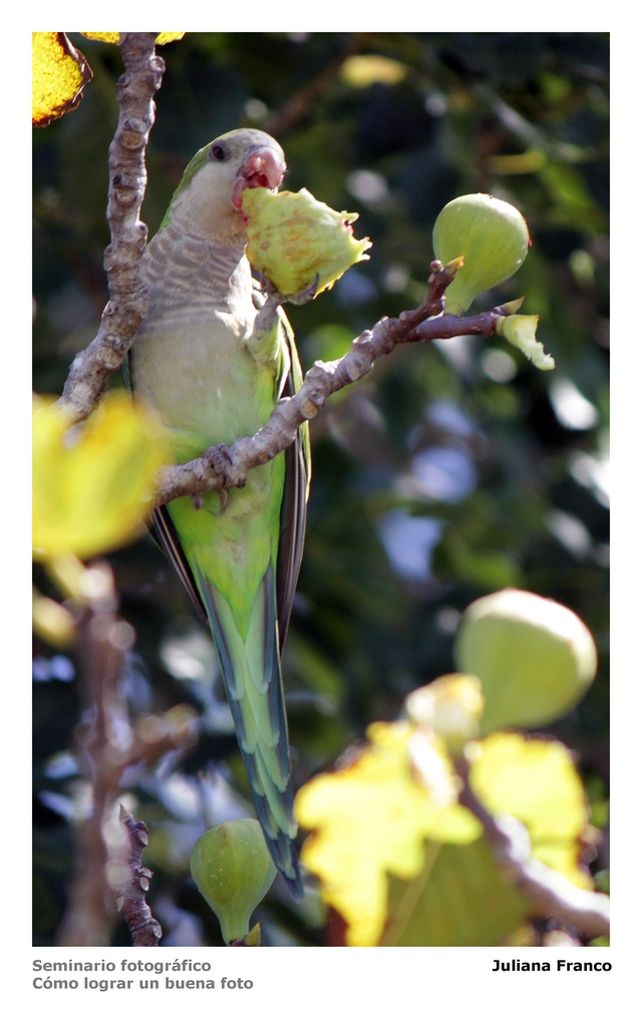 Cómo lograr una buena foto vuelve a La Hendija