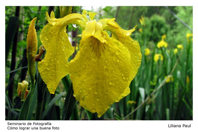 Cómo lograr una buena foto vuelve a La Hendija