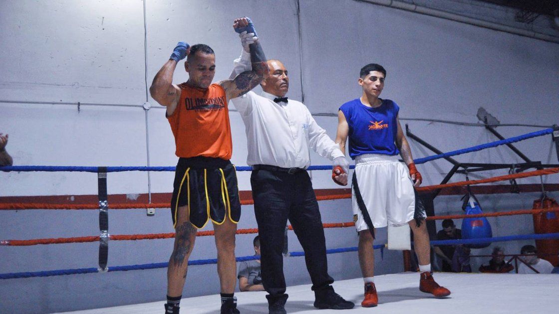 Boxer. Últimas noticias de Boxer - Diario Uno Santa Fe