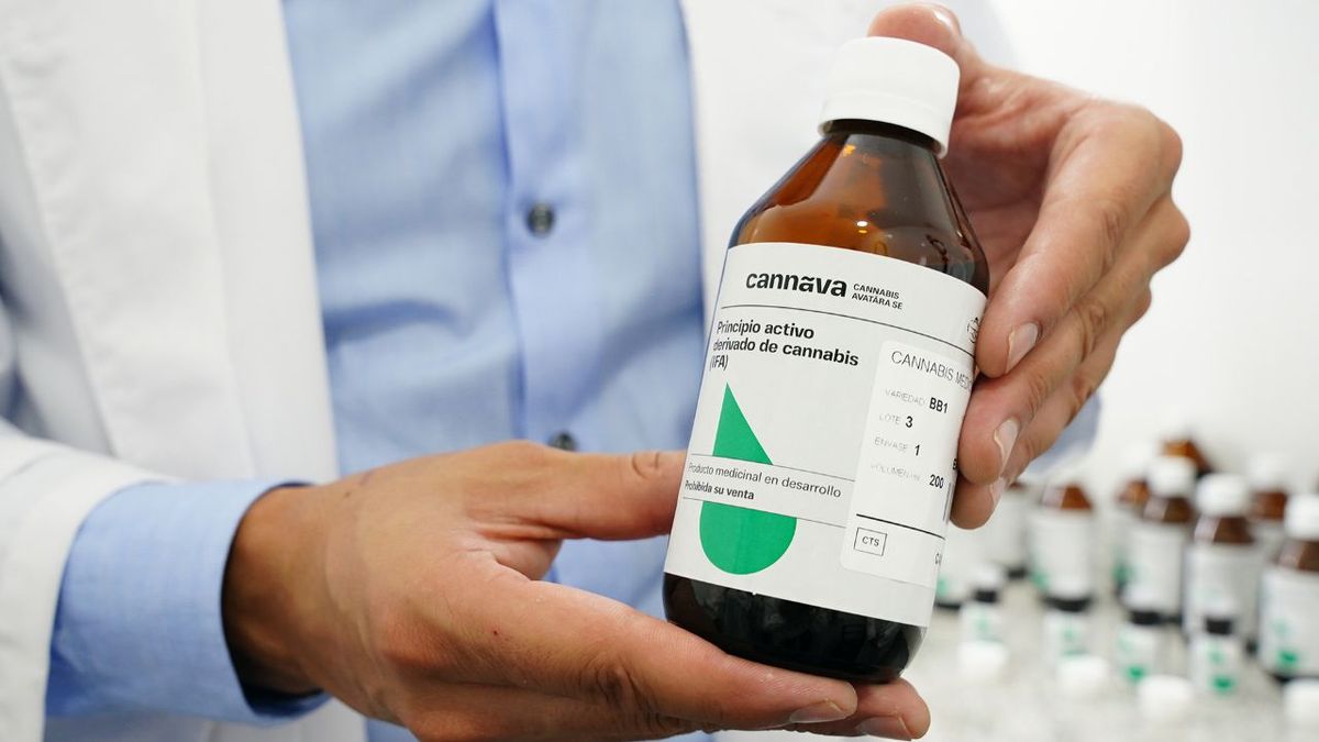 Anmat autorizó la venta del primer aceite de cannabis producido en ...